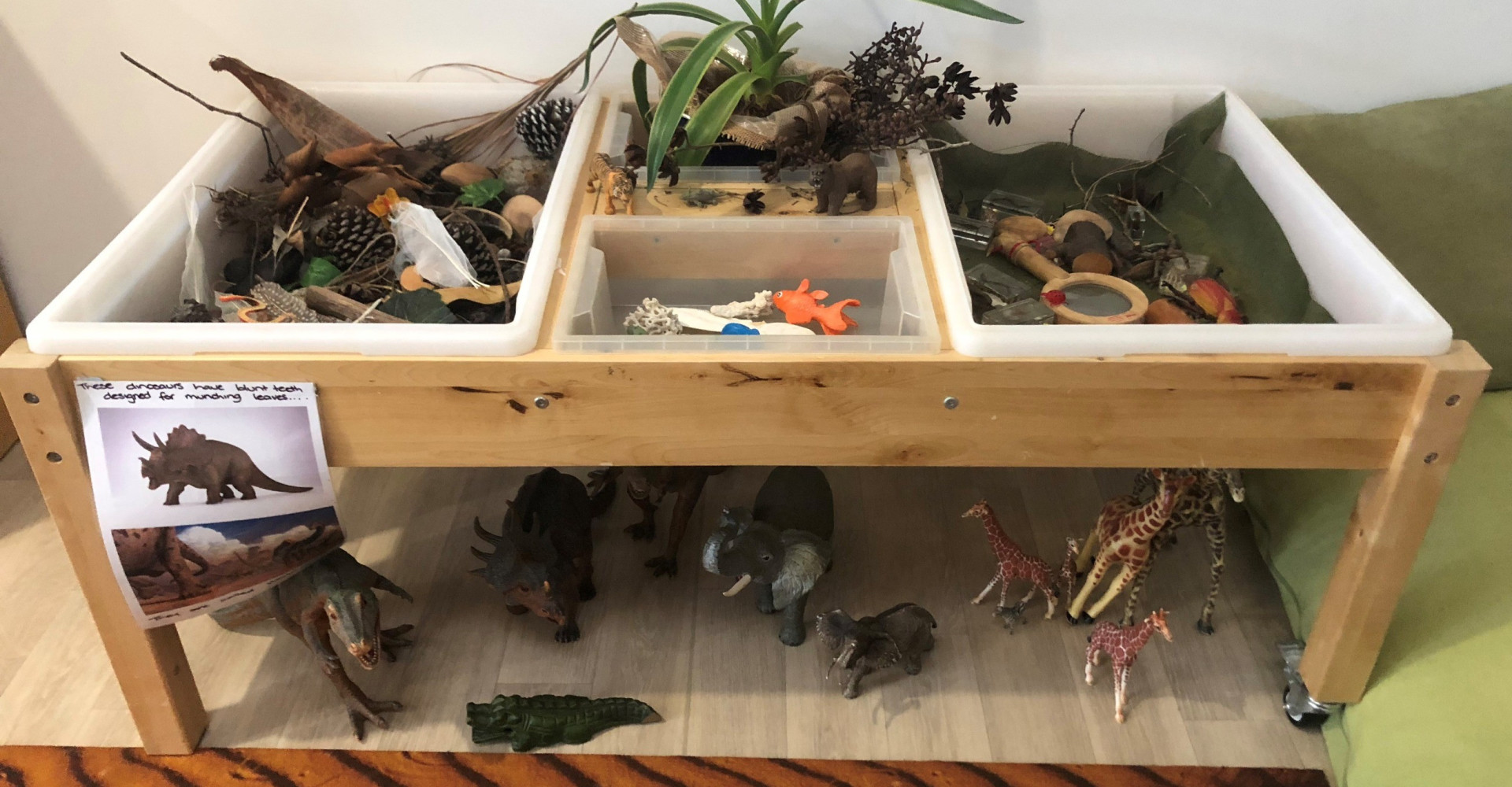 Our Philosophy - Mt Peter Early Learning