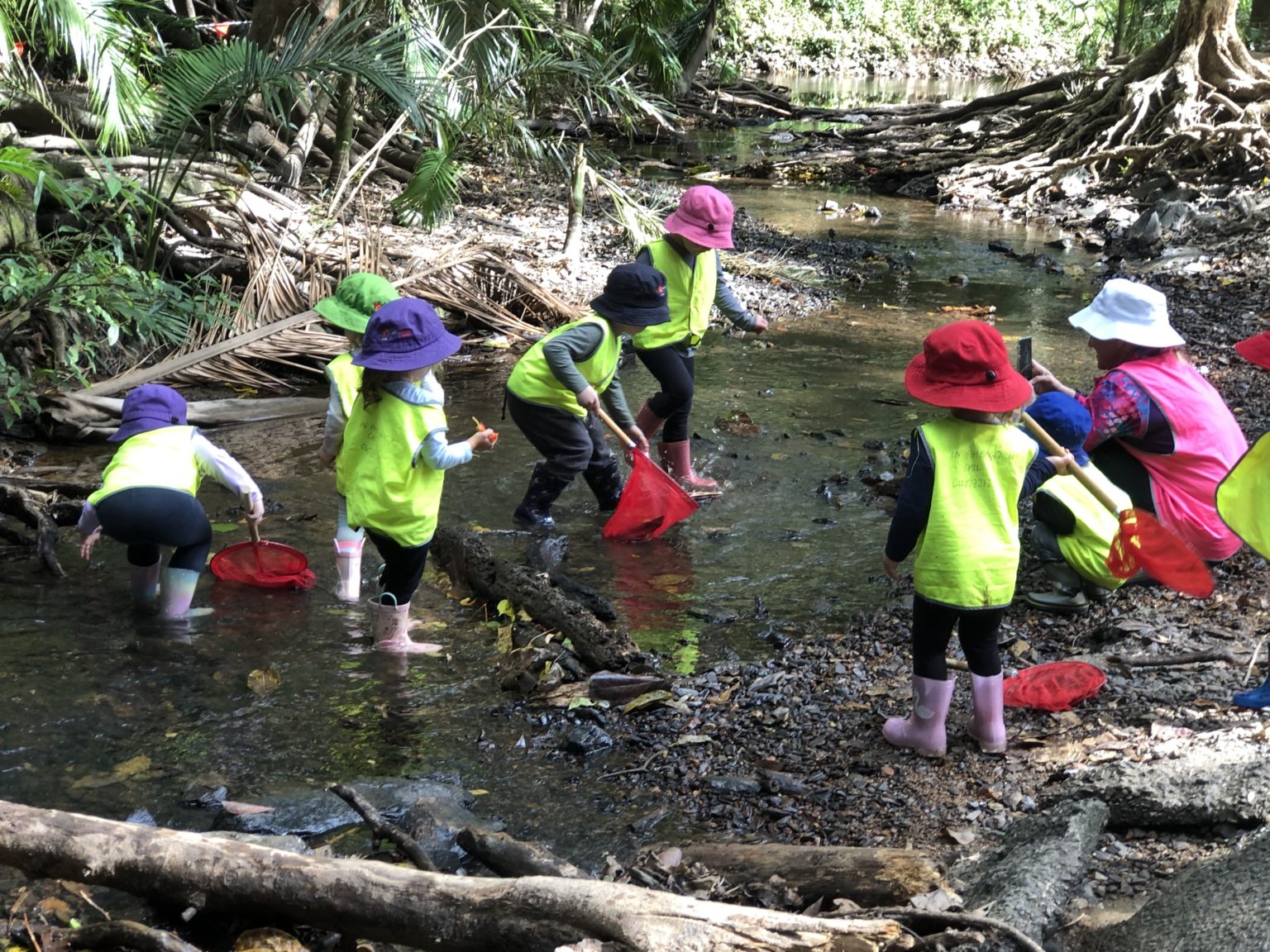 Nature’s Classroom | Forest School - Mt Peter Early Learning